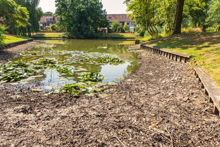 Klimaatadaptief gebiedsontwikkelen | Antea Group