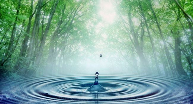 The Value of Water: What Does Water Mean to You? | Antea Group