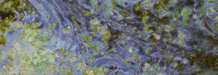 Scott Recker | Antea Group