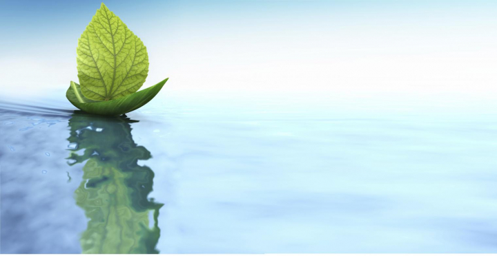 Scott Recker | Antea Group