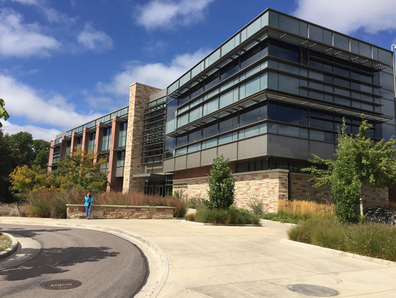 Colorado State University