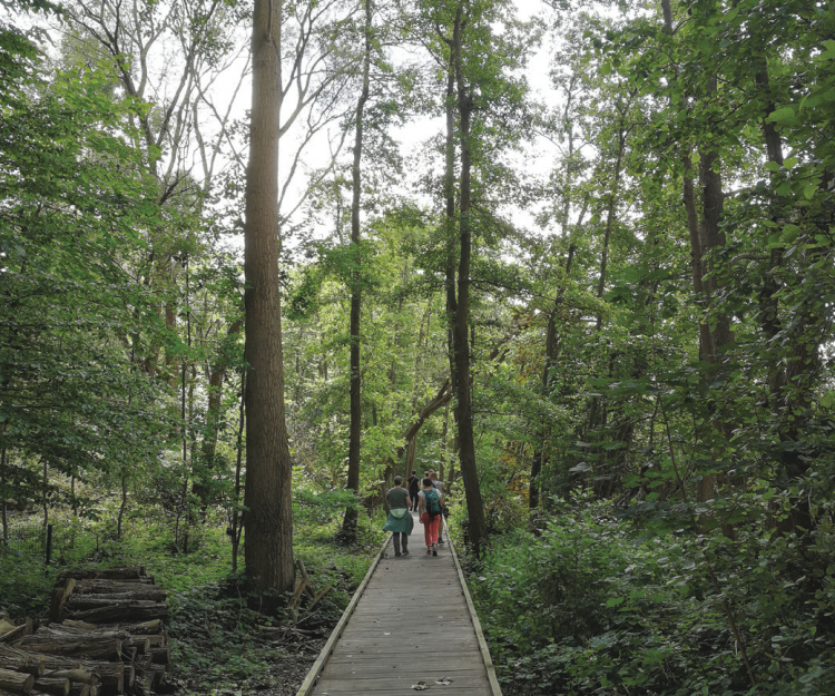 Open ruimte visie in en rond Brussel voor natuur en landbouw | Antea Group